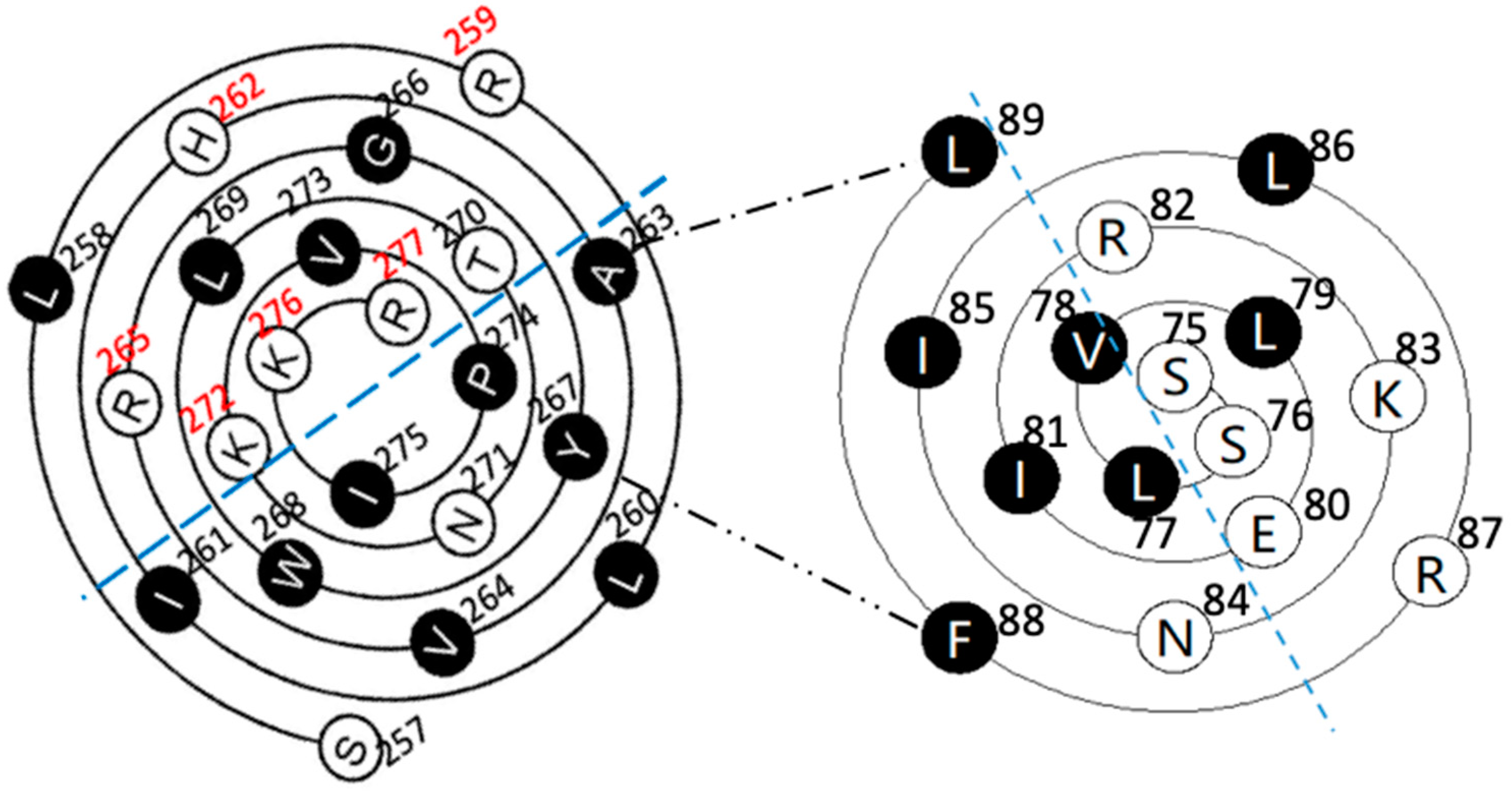 The Graphical Studies of the Major Molecular Interactions for Neural Cell Adhesion Molecule ...