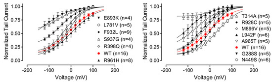 Functional Effects of Epilepsy Associated KCNT1 Mutations Suggest ...