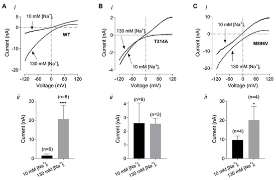 Functional Effects of Epilepsy Associated KCNT1 Mutations Suggest ...