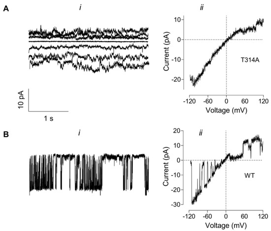 Functional Effects of Epilepsy Associated KCNT1 Mutations Suggest ...