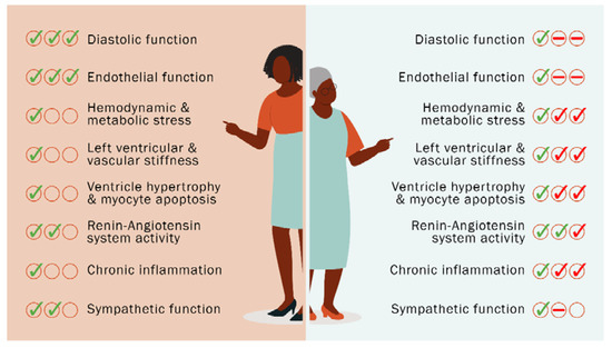 Heart Failure in Menopause: Treatment and New Approaches