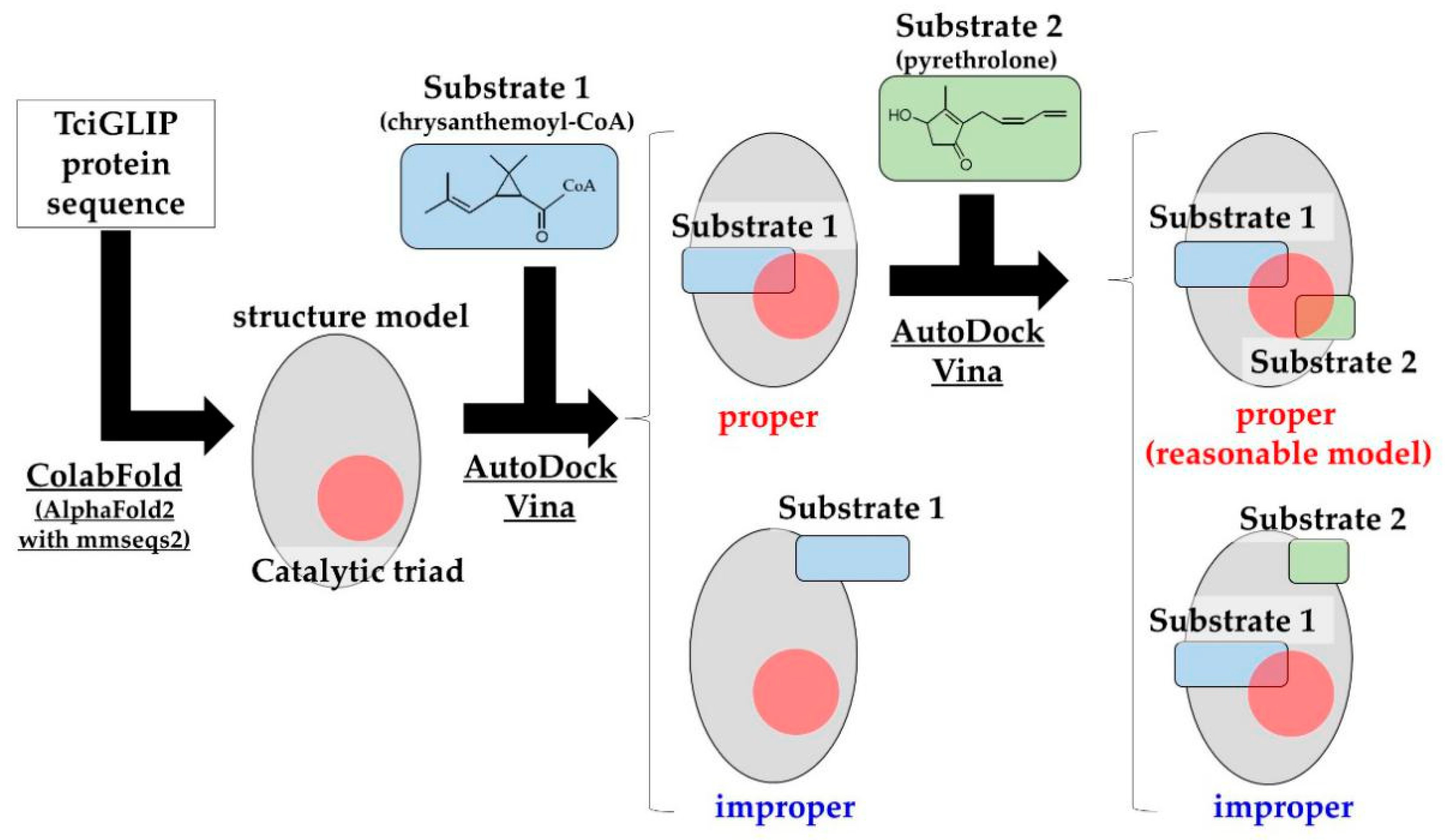 Key Amino Acids for Transferase Activity of GDSL Lipases