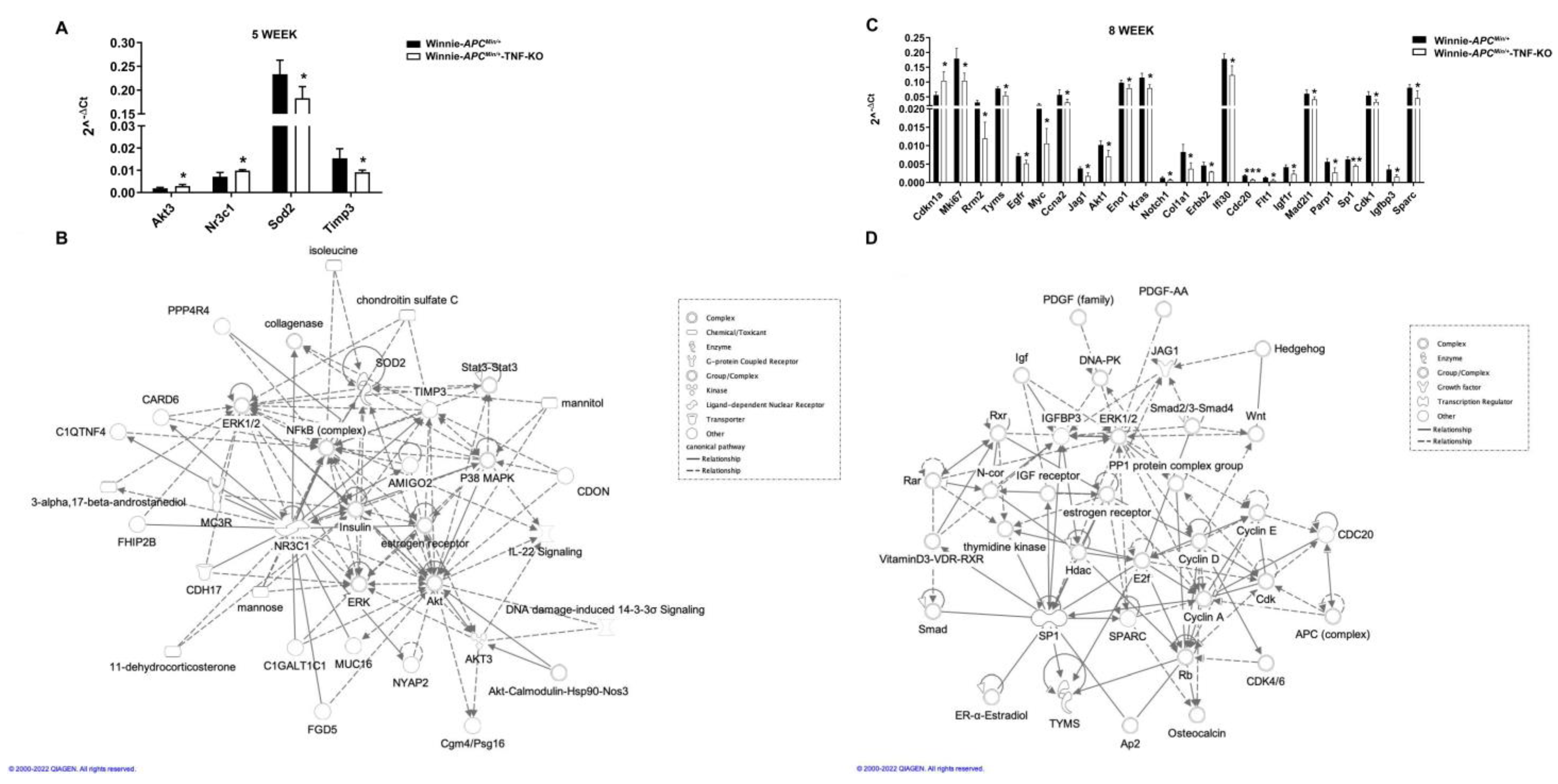 Deletion of TNF in Winnie-APCMin/+ Mice Reveals Its Dual Role in the ...