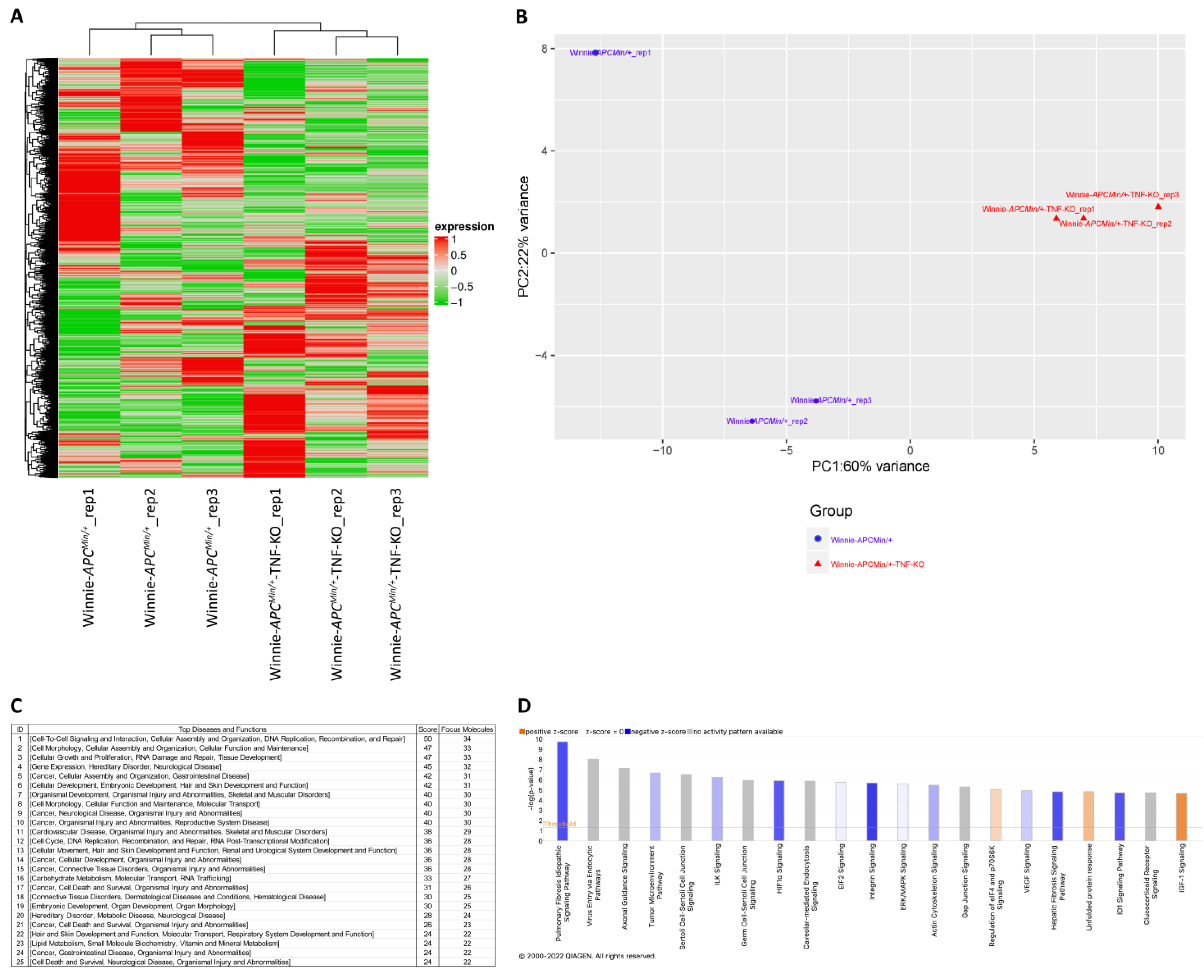 Deletion of TNF in Winnie-APCMin/+ Mice Reveals Its Dual Role in the ...