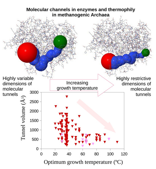 IJMS | Free Full-Text | Understanding Life at High Temperatures ...