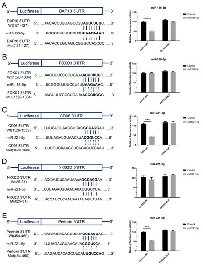 miR-221-5p and miR-186-5p Are the Critical Bladder Cancer Derived ...