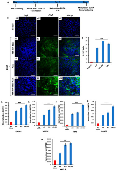 Direct Cardiac Epigenetic Reprogramming through Codelivery of 5 ...