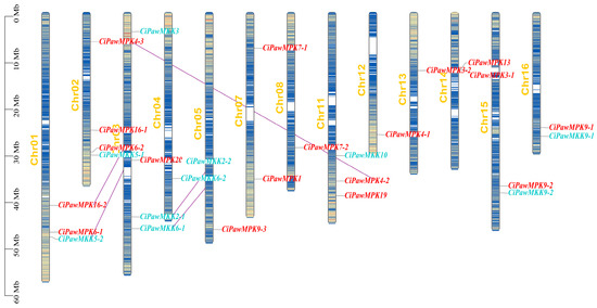 Identification and Expression Analysis of MPK and MKK Gene Families in ...
