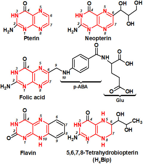 Insights into Molecular Structure of Pterins Suitable for Biomedical ...