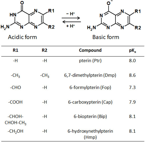Insights into Molecular Structure of Pterins Suitable for Biomedical ...
