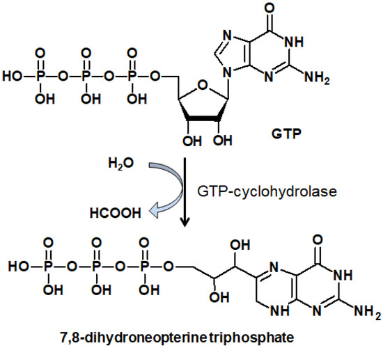 Insights into Molecular Structure of Pterins Suitable for Biomedical ...