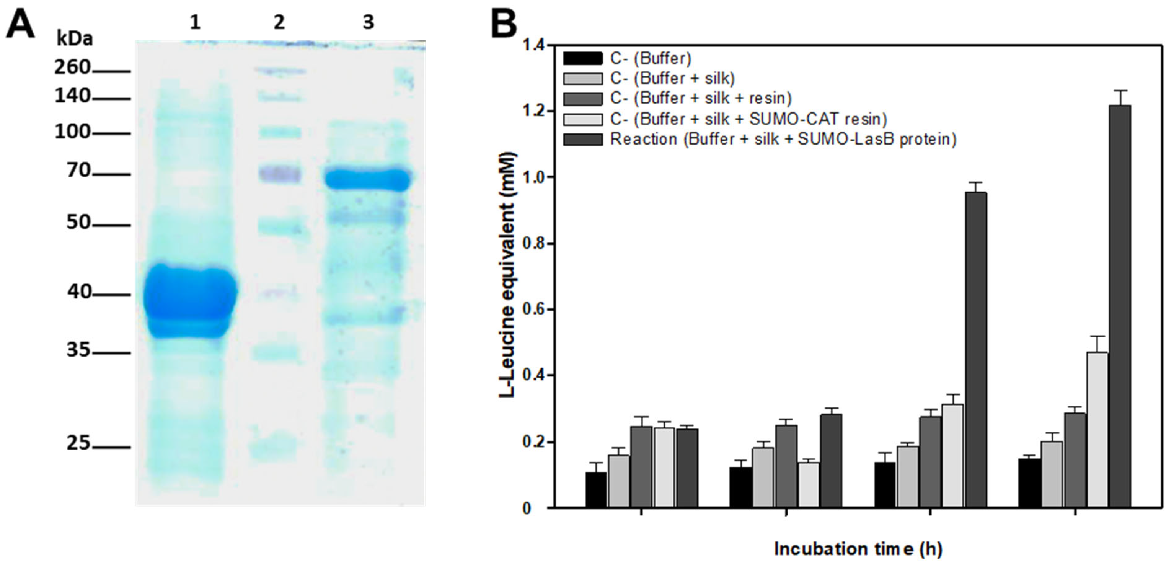 Biodegradation of Pine Processionary Caterpillar Silk Is Mediated by ...