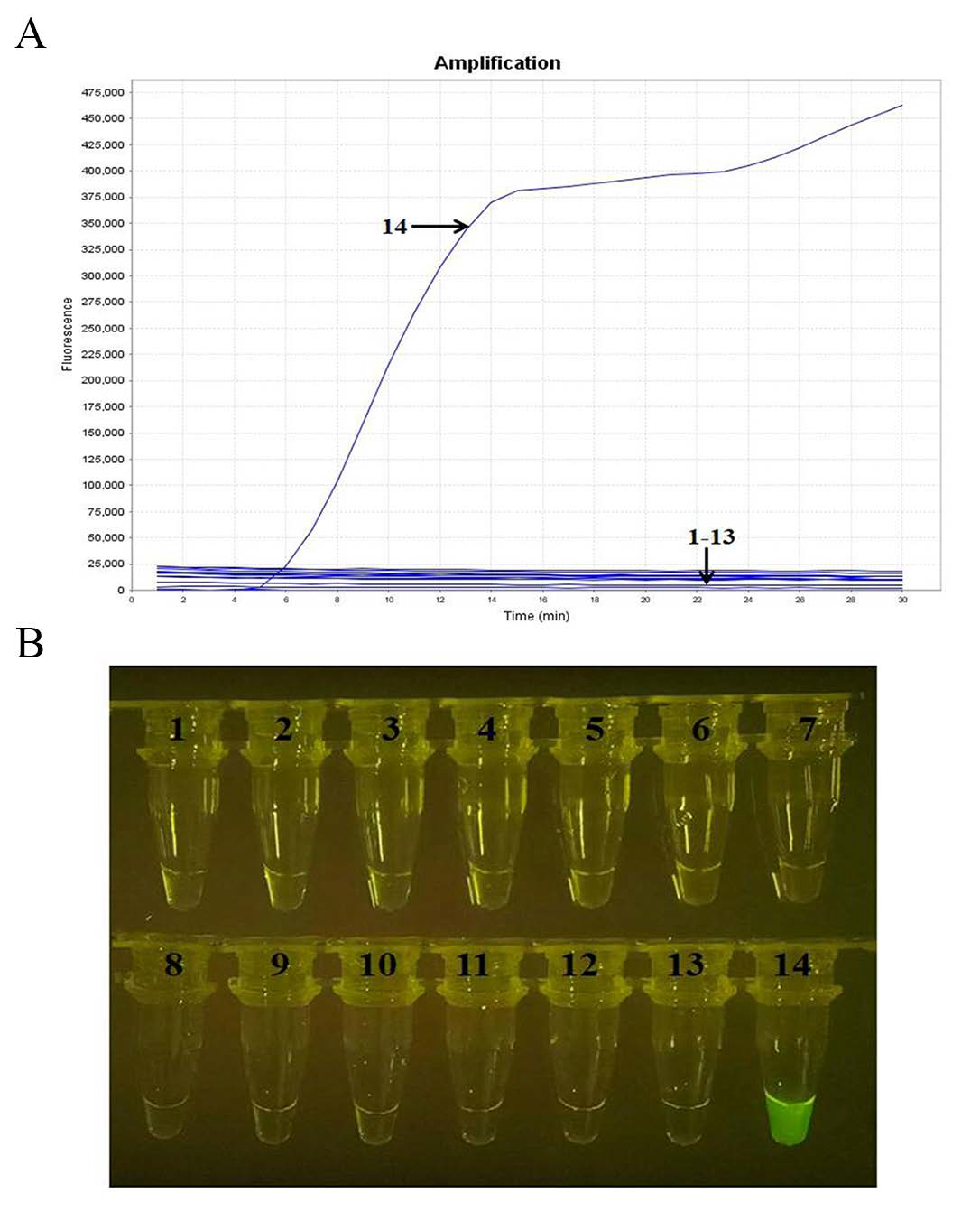 Real-Time Reverse Transcription Recombinase-Aided Amplification Assay ...