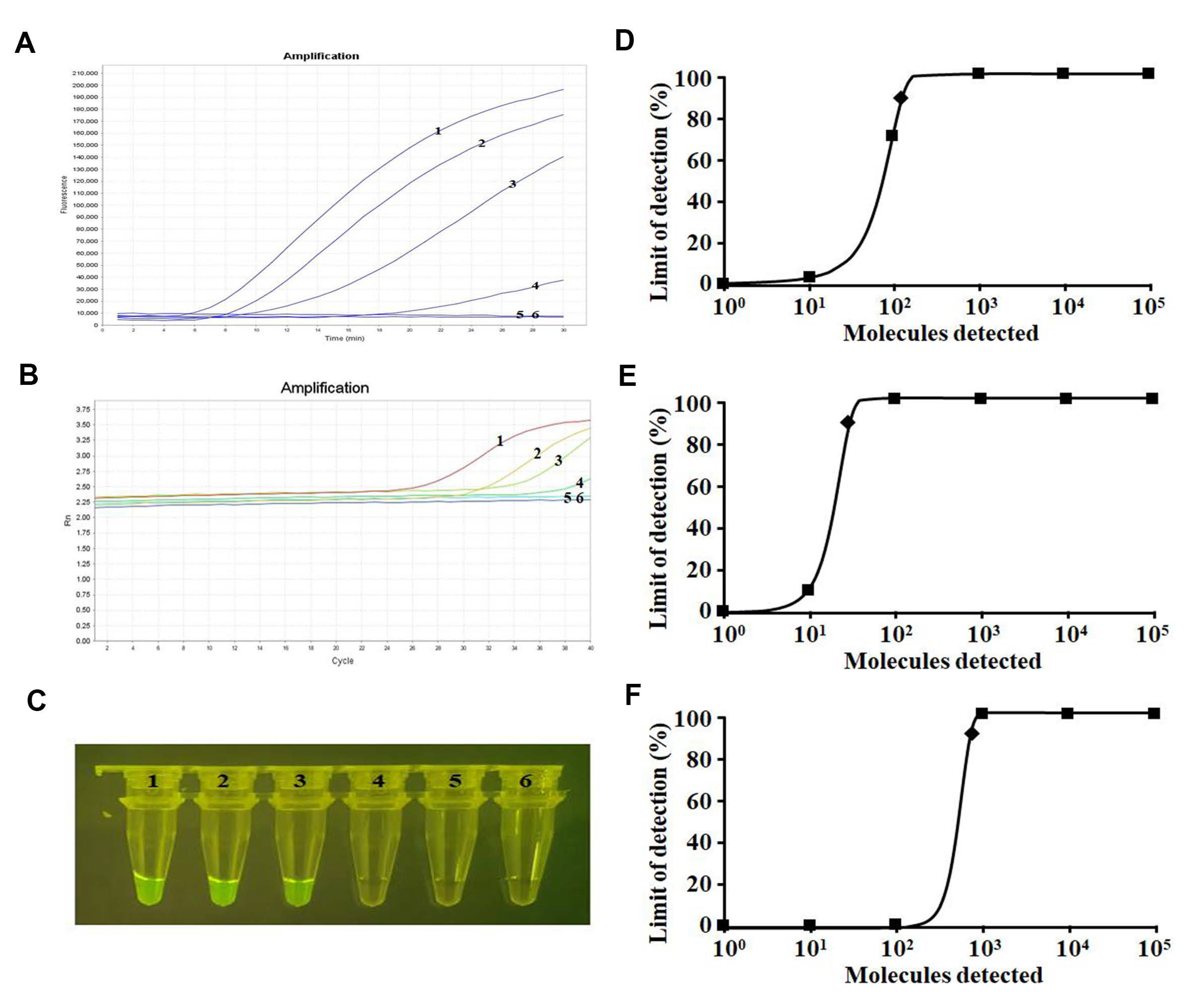 Real-Time Reverse Transcription Recombinase-Aided Amplification Assay ...