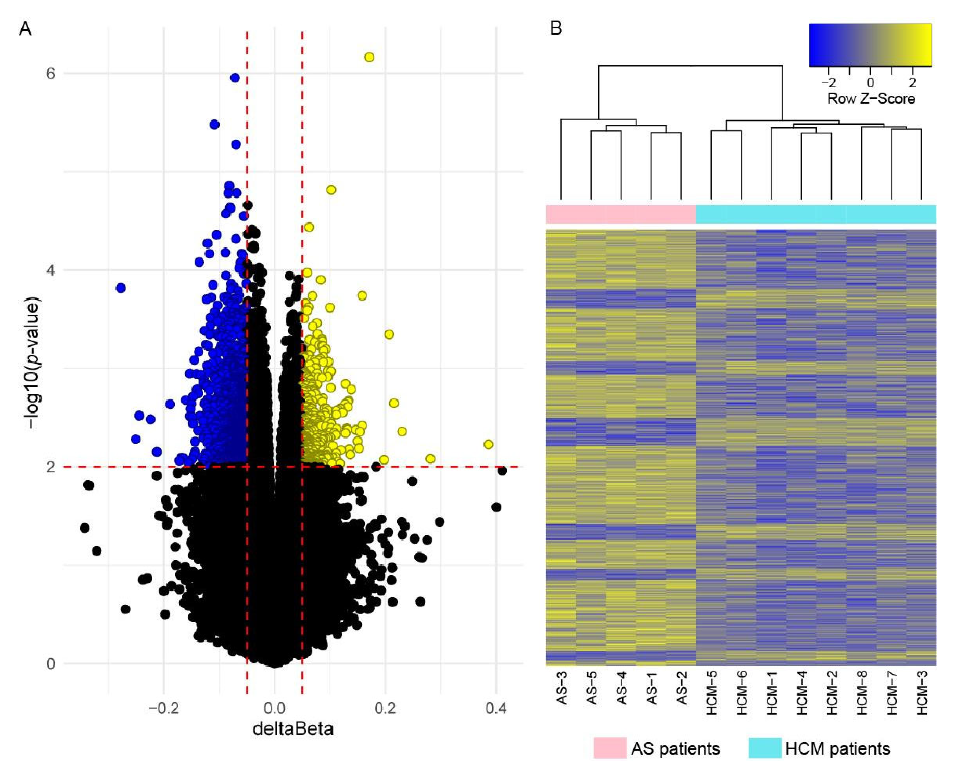 Novel Genes Involved in Hypertrophic Cardiomyopathy: Data of ...