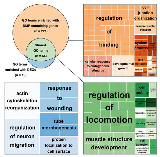 Novel Genes Involved in Hypertrophic Cardiomyopathy: Data of ...