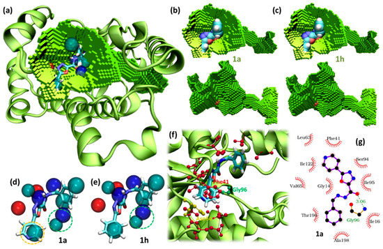 Synthesis, Biological Evaluation and Computational Studies of New ...
