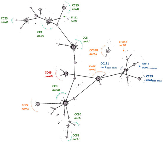 Occurrence and Variability of the Efflux Pump Gene norA across the ...