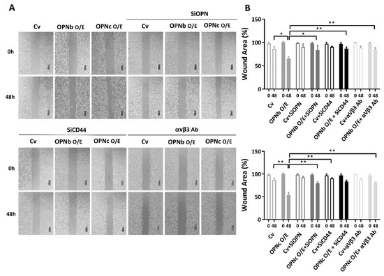 Osteopontin Splicing Isoforms Contribute to Endometriotic Proliferation ...