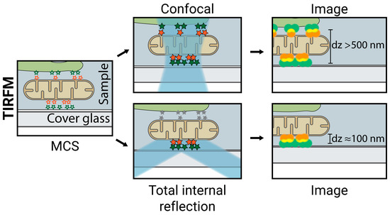 Super-Resolution Microscopy to Study Interorganelle Contact Sites