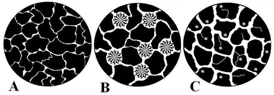 Role of Microstructure in Drug Release from Chitosan Amorphous Solid ...