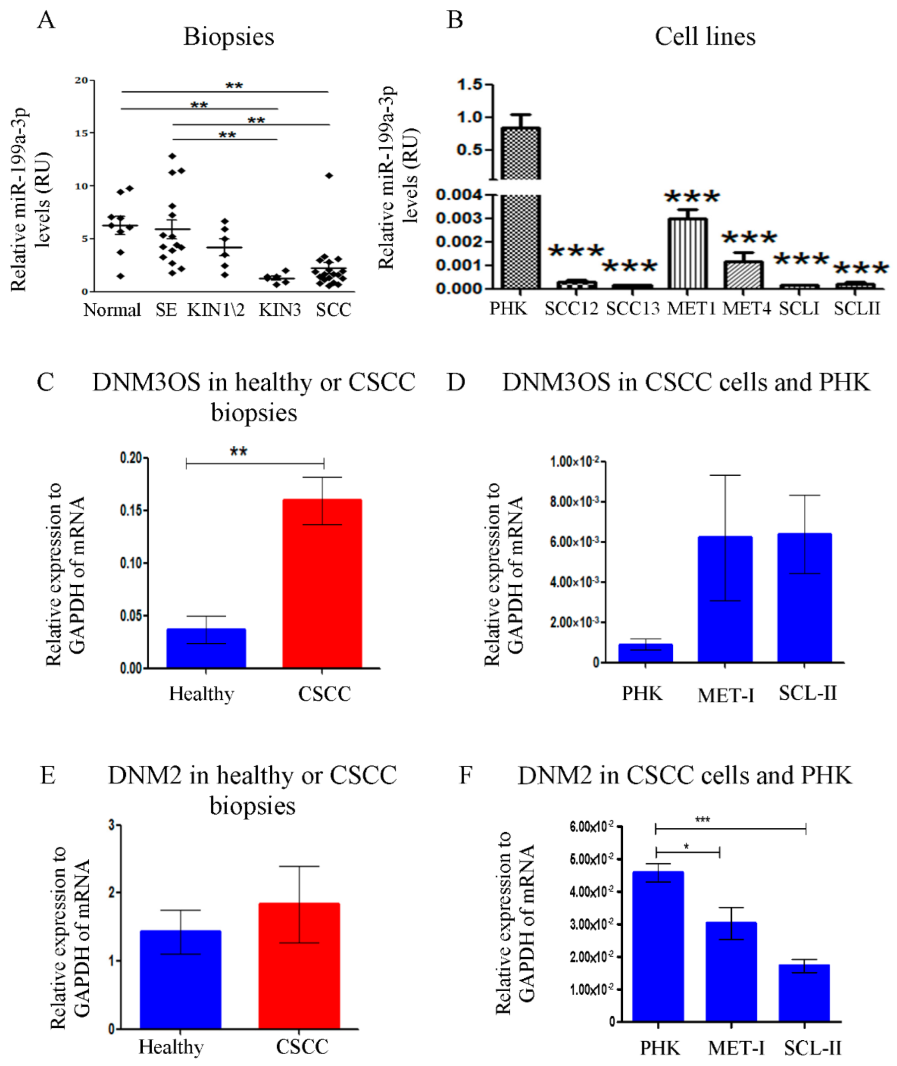 IJMS | Free Full-Text | MiR-199a-3p Induces Mesenchymal to Epithelial Transition of ...