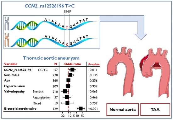 IJMS | Free Full-Text | The CCN2 Polymorphism rs12526196 Is a Risk ...