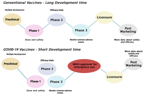 COVID-19 Vaccines, Effectiveness, and Immune Responses