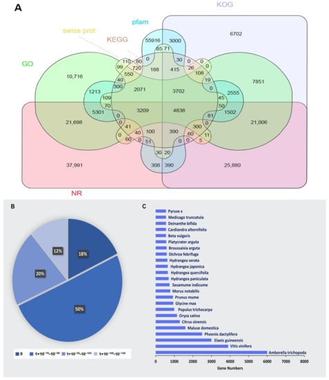 Comparative Transcriptome Analysis Unveils the Molecular Mechanism Underlying Sepal Colour ...