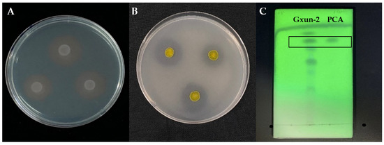 Comparative Transcriptome Analysis Unravels the Response Mechanisms of ...
