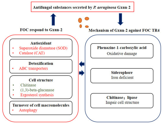 Comparative Transcriptome Analysis Unravels the Response Mechanisms of ...
