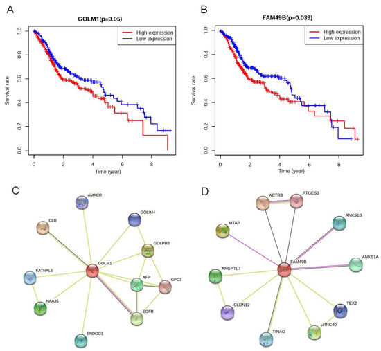GOLM1 and FAM49B: Potential Biomarkers in HNSCC Based on Bioinformatics ...