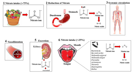 The Generation of Nitric Oxide from Aldehyde Dehydrogenase-2: The Role ...