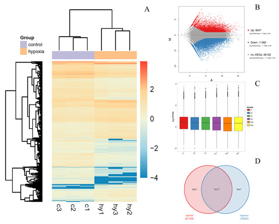 Transcriptomic Analysis of Distal Parts of Roots Reveals Potentially ...
