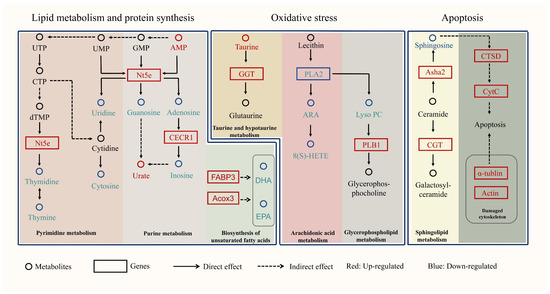 Integrative Application of Transcriptomics and Metabolomics Provides ...