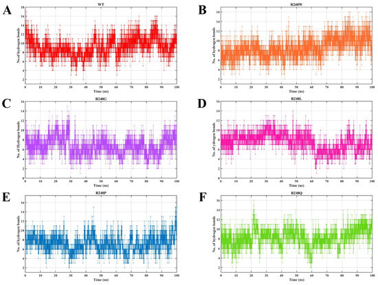 Unraveling the Structural Changes in the DNA-Binding Region of Tumor ...