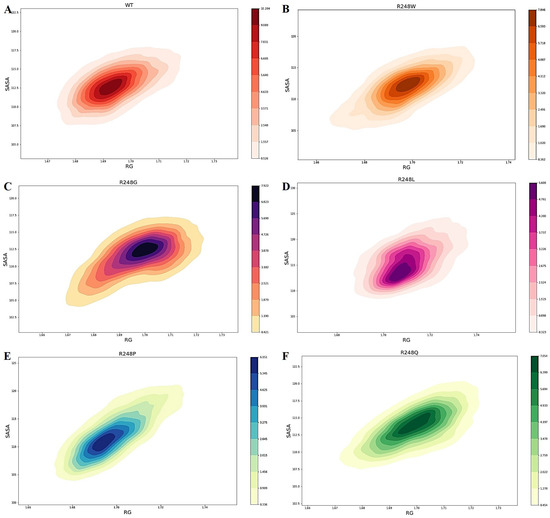Unraveling the Structural Changes in the DNA-Binding Region of Tumor ...