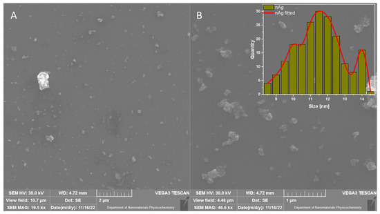 Bioactive Carboxymethyl Cellulose (CMC)-Based Films Modified with ...
