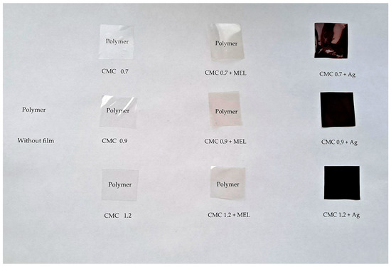 Bioactive Carboxymethyl Cellulose (CMC)-Based Films Modified with ...