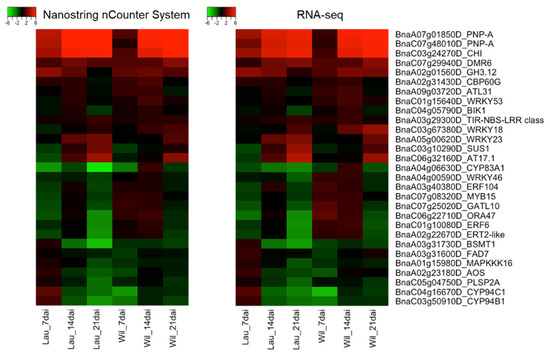 Application of the NanoString nCounter System as an Alternative Method ...