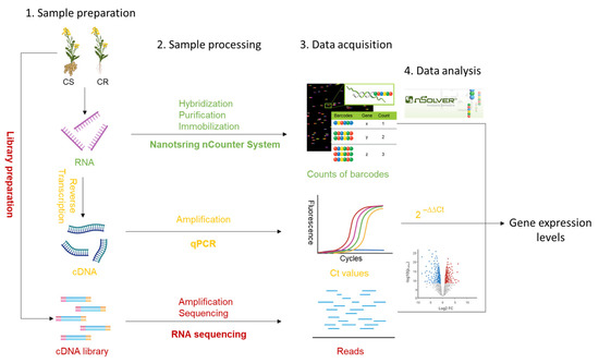 Application of the NanoString nCounter System as an Alternative Method to Investigate Molecular ...