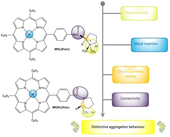 Stereospecific Self-Assembly Processes of Porphyrin-Proline Conjugates ...
