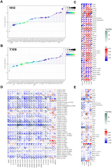 Comprehensive Analysis of FASN in Tumor Immune Infiltration and Prognostic Value for ...