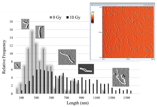 Clustered DNA Damage Patterns after Proton Therapy Beam Irradiation ...