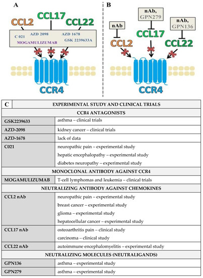 CC Chemokine Receptor 4 (CCR4) as a Possible New Target for Therapy