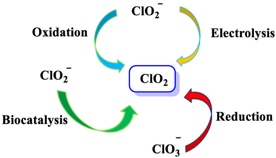 Chlorine Dioxide: Friend or Foe for Cell Biomolecules? A Chemical Approach