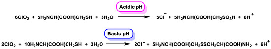 Chlorine Dioxide: Friend or Foe for Cell Biomolecules? A Chemical Approach
