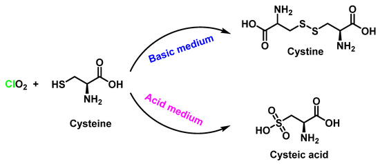 Chlorine Dioxide: Friend or Foe for Cell Biomolecules? A Chemical Approach