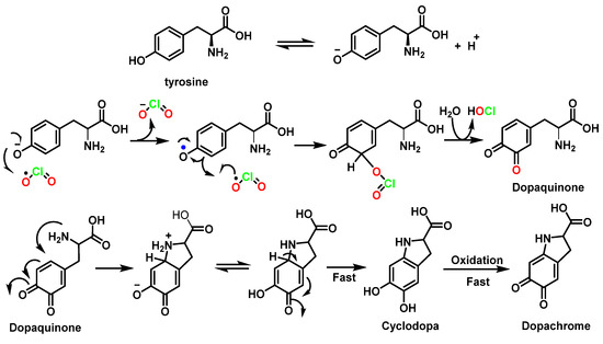 Chlorine Dioxide: Friend or Foe for Cell Biomolecules? A Chemical Approach