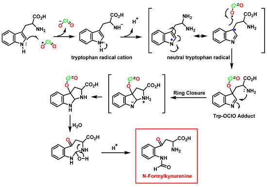 Chlorine Dioxide: Friend or Foe for Cell Biomolecules? A Chemical Approach